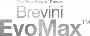 Brevini EvoMax - Dana Industrial